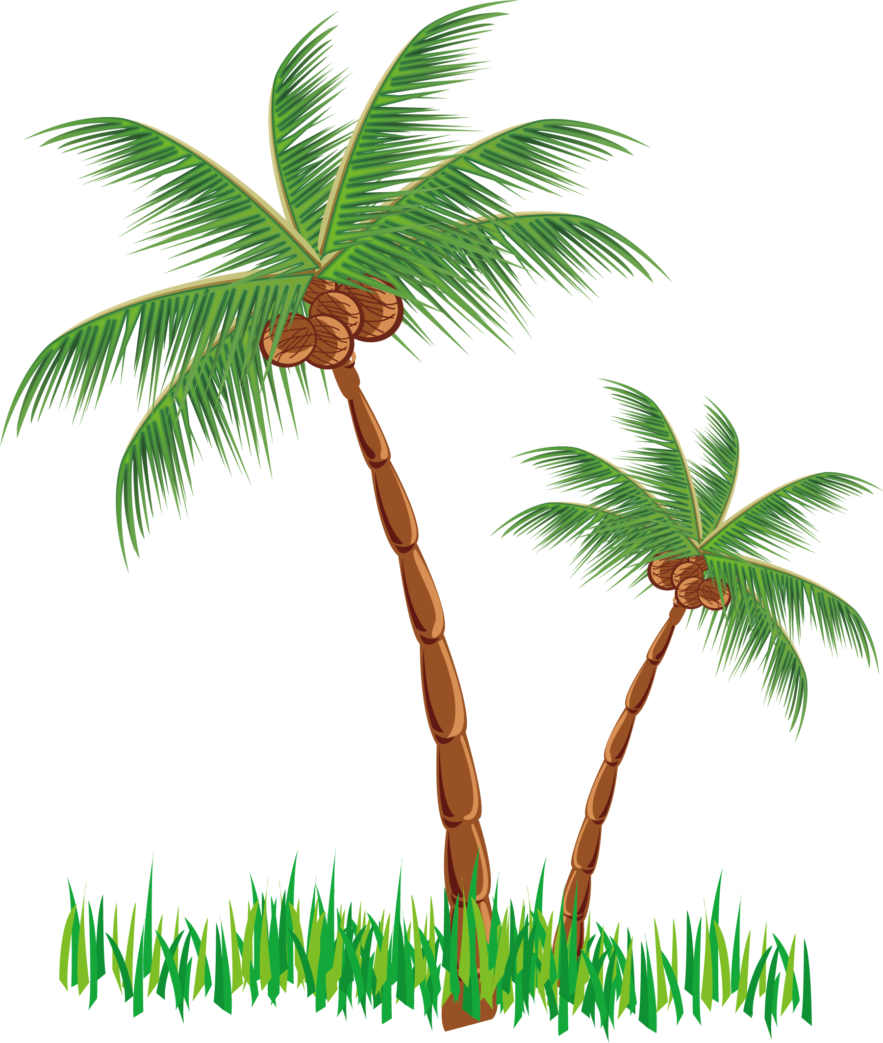 Coconut Tree Clip Art Coconut Tree Vector Material Pn - vrogue.co Coconut Tree Clip Art Coconut Tree Vector Material Pn - vrogue.co