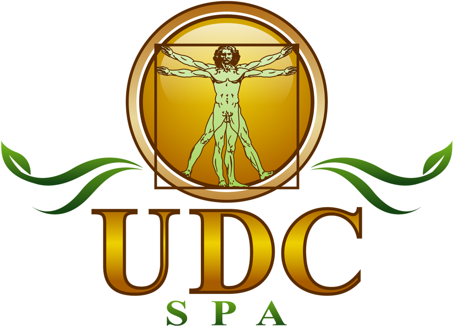 Logo1 - Udc Muncie Clipart - Large Size Png Image - PikPng