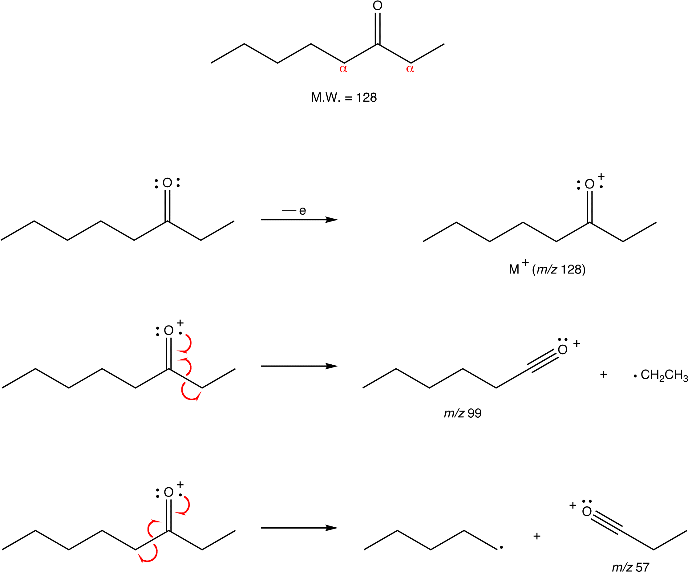 See Beta Cleavage - Alpha Cleavage Of Alcohol Clipart - Large Size Png ...