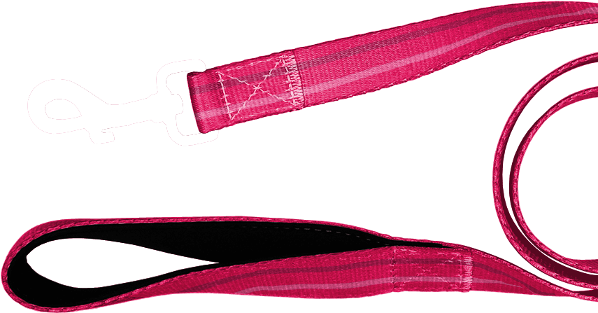 Pink Leash - Carmine Clipart - Large Size Png Image - PikPng