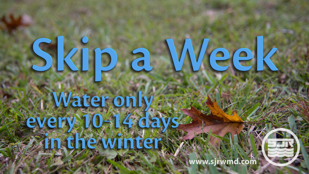 Sjrwmd - Grass Clipart - Large Size Png Image - PikPng