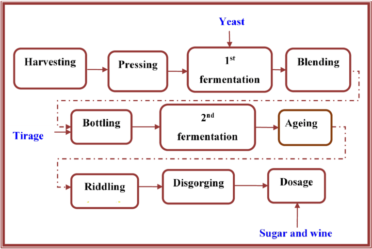 A Flow Diagram Of The Stages Of The Sparkling Winemaking - Wine Making ...