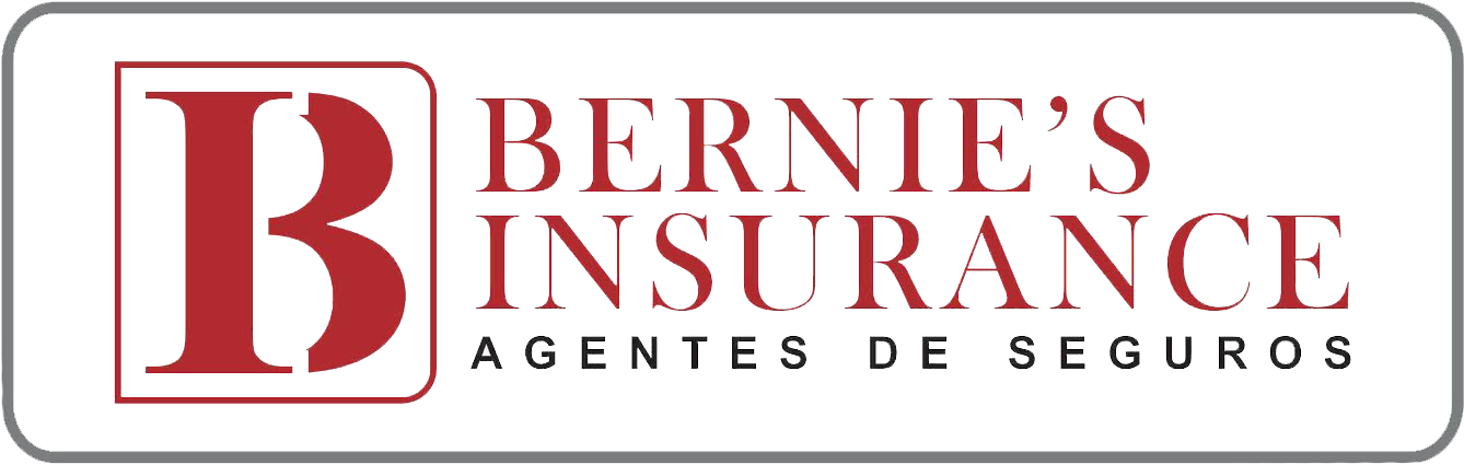 Bernie Logo Png Clipart - Large Size Png Image - PikPng