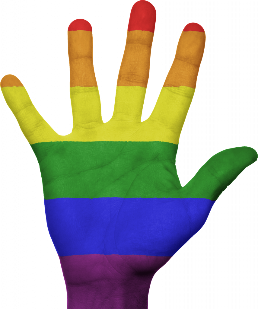 Hand Flag - Lgbt Hand Png Clipart - Large Size Png Image - PikPng