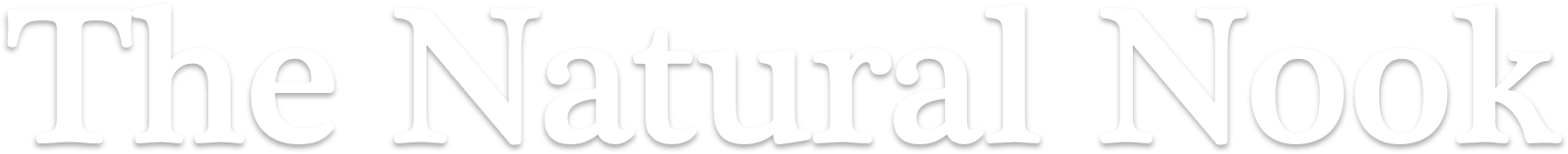 Calligraphy Clipart - Large Size Png Image - PikPng