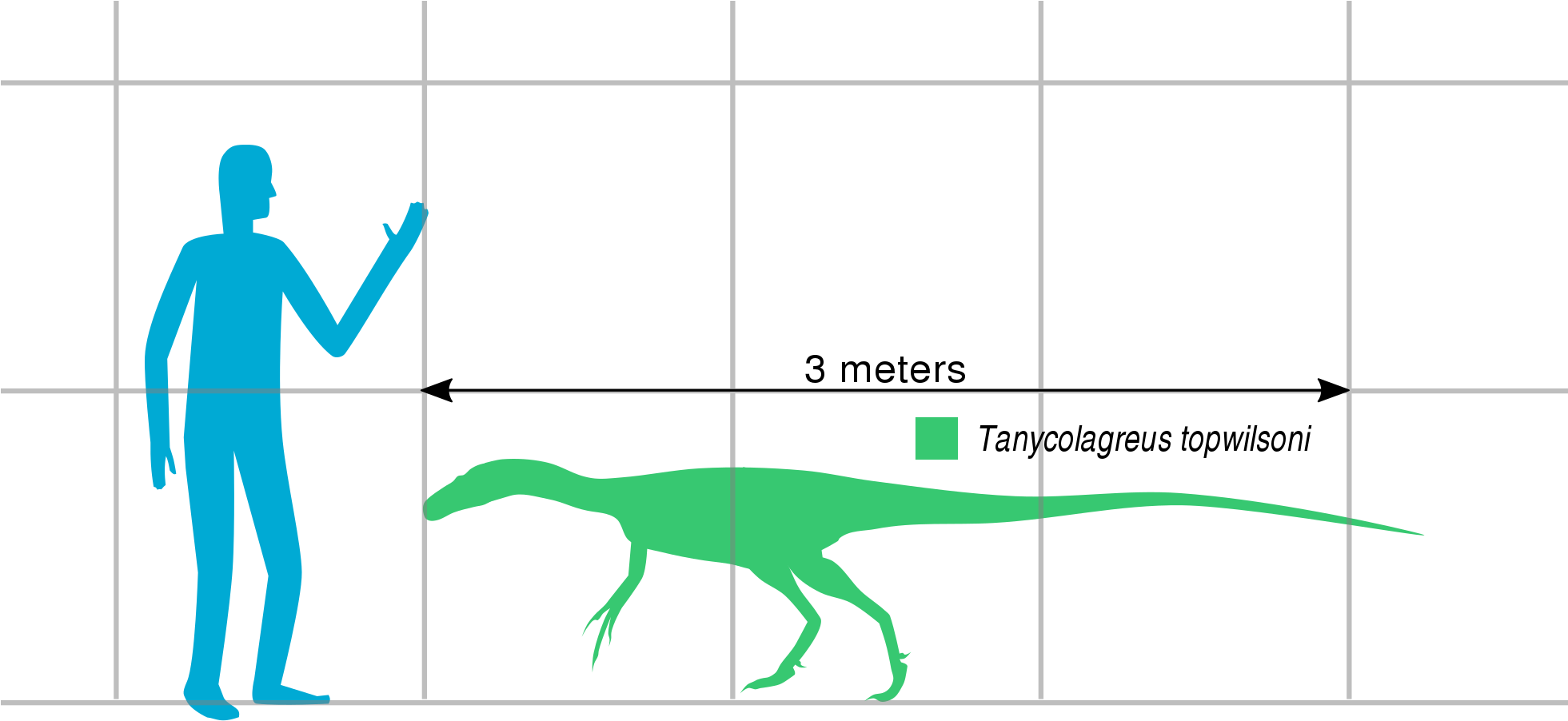 File - Tanycolagreus Scale - Svg - Lesothosaurus Clipart - Large Size ...