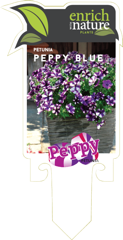Petunia Peppy Blue Label0 - Bouquet Clipart - Large Size Png Image - PikPng