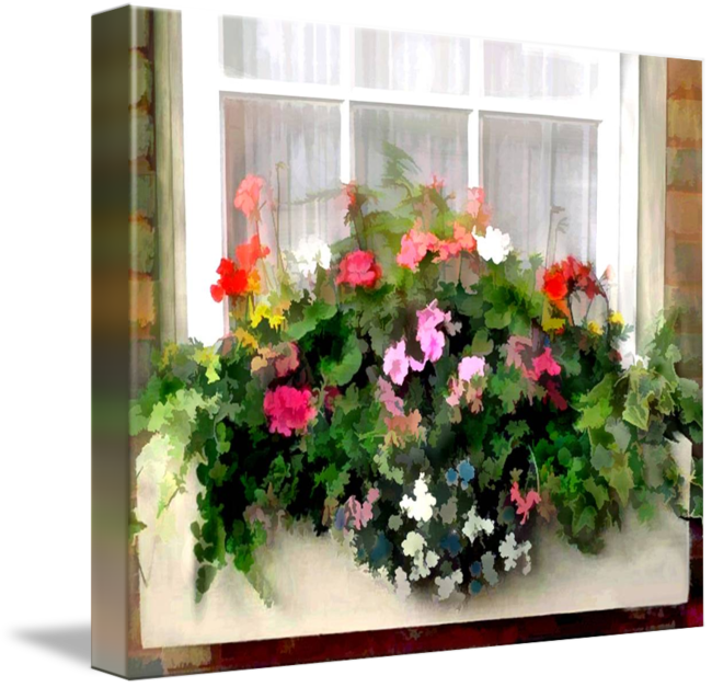 Window Box Png - Petunia Clipart - Large Size Png Image - PikPng