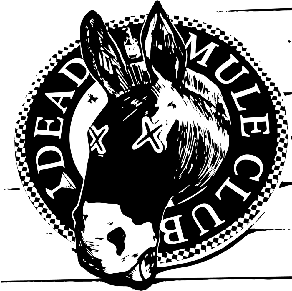 Grateful Dead Logo Png Clipart - Large Size Png Image - PikPng