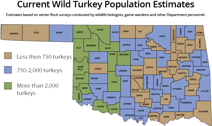 Download Eastern Turkeys - Oklahoma Turkey Season 2018 Clipart Png ...