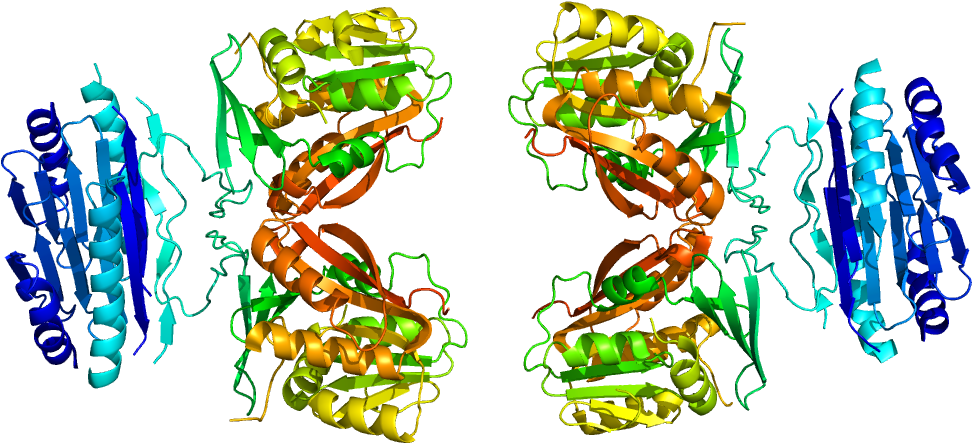 Illustration Clipart - Large Size Png Image - PikPng