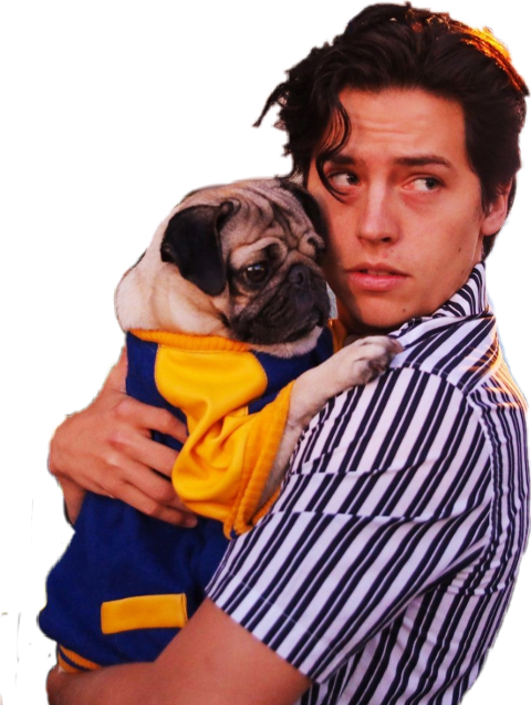Cole Sprouse And Dog Clipart - Large Size Png Image - PikPng