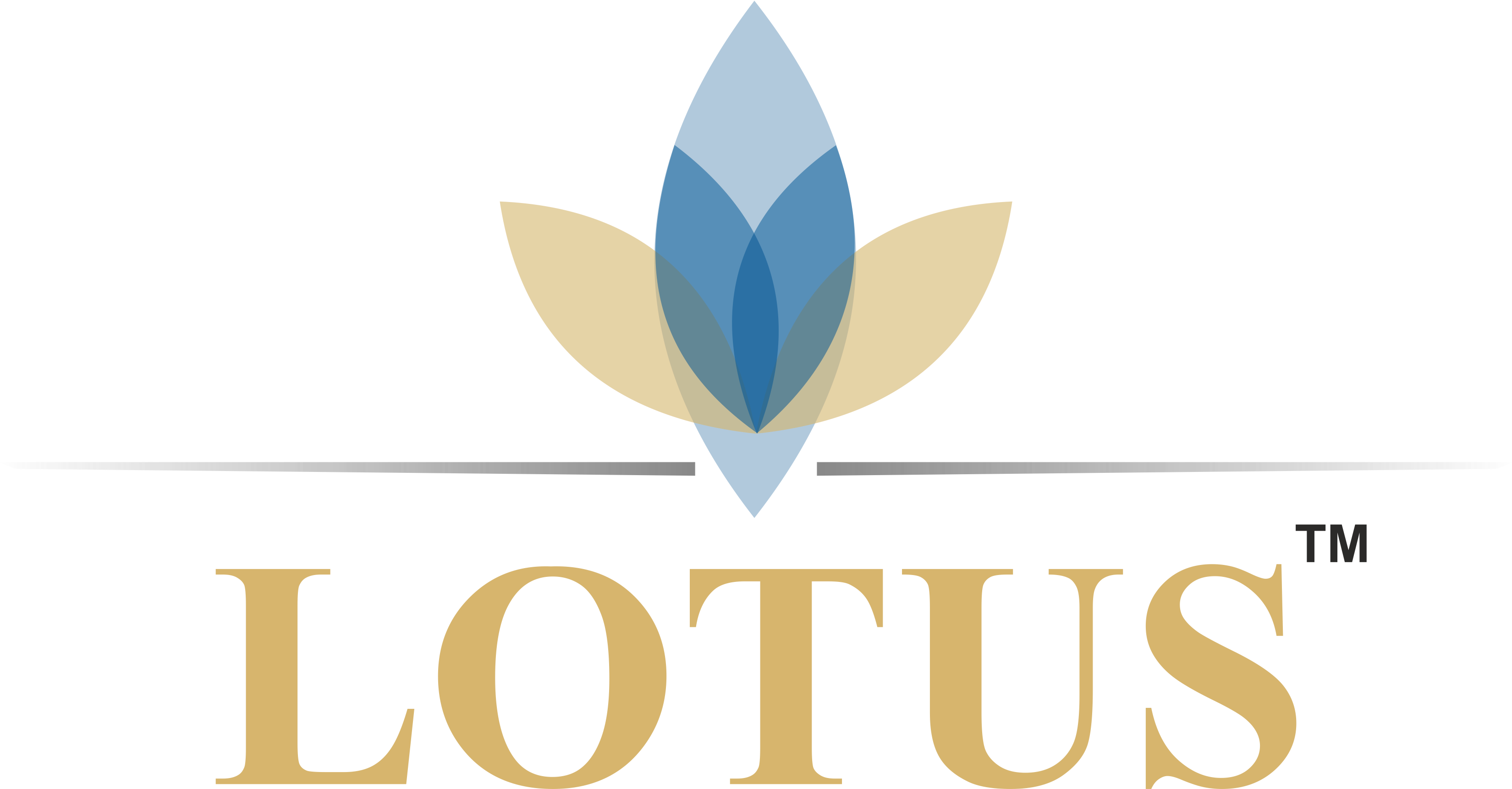 Lotus Hardware Logo - Graphic Design Clipart - Large Size Png Image ...