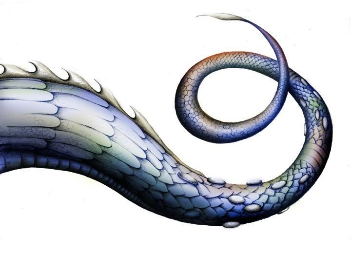 Dragontail Sgsword Cyo - Dragon Tail Clipart - Large Size Png Image ...