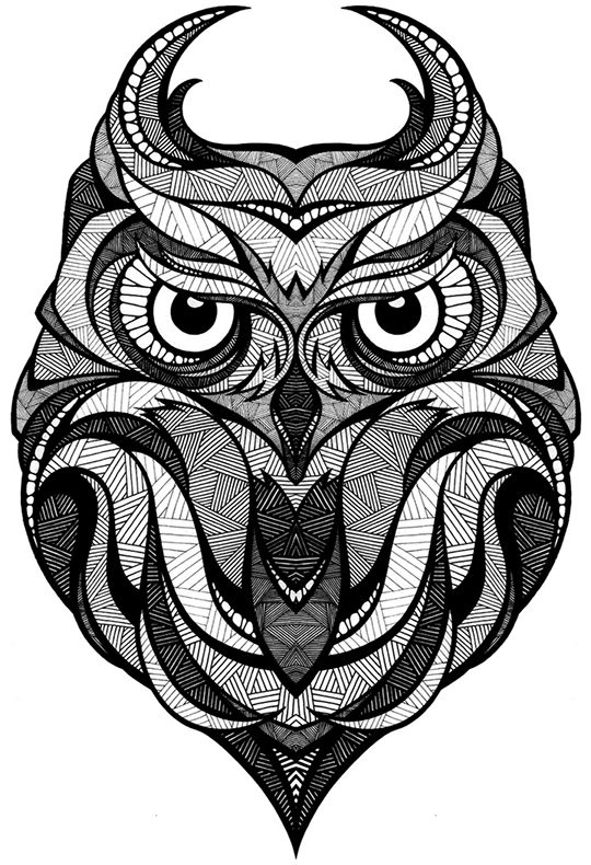 Owl Arctic Fox Drawing Art - Andreas Preis Owl Clipart - Large Size Png ...