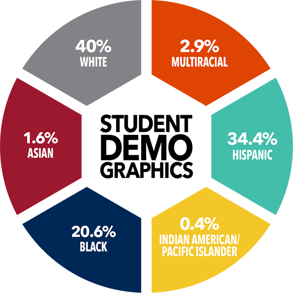 Percentile Graphic Showing Student Demographics - Circle Clipart ...