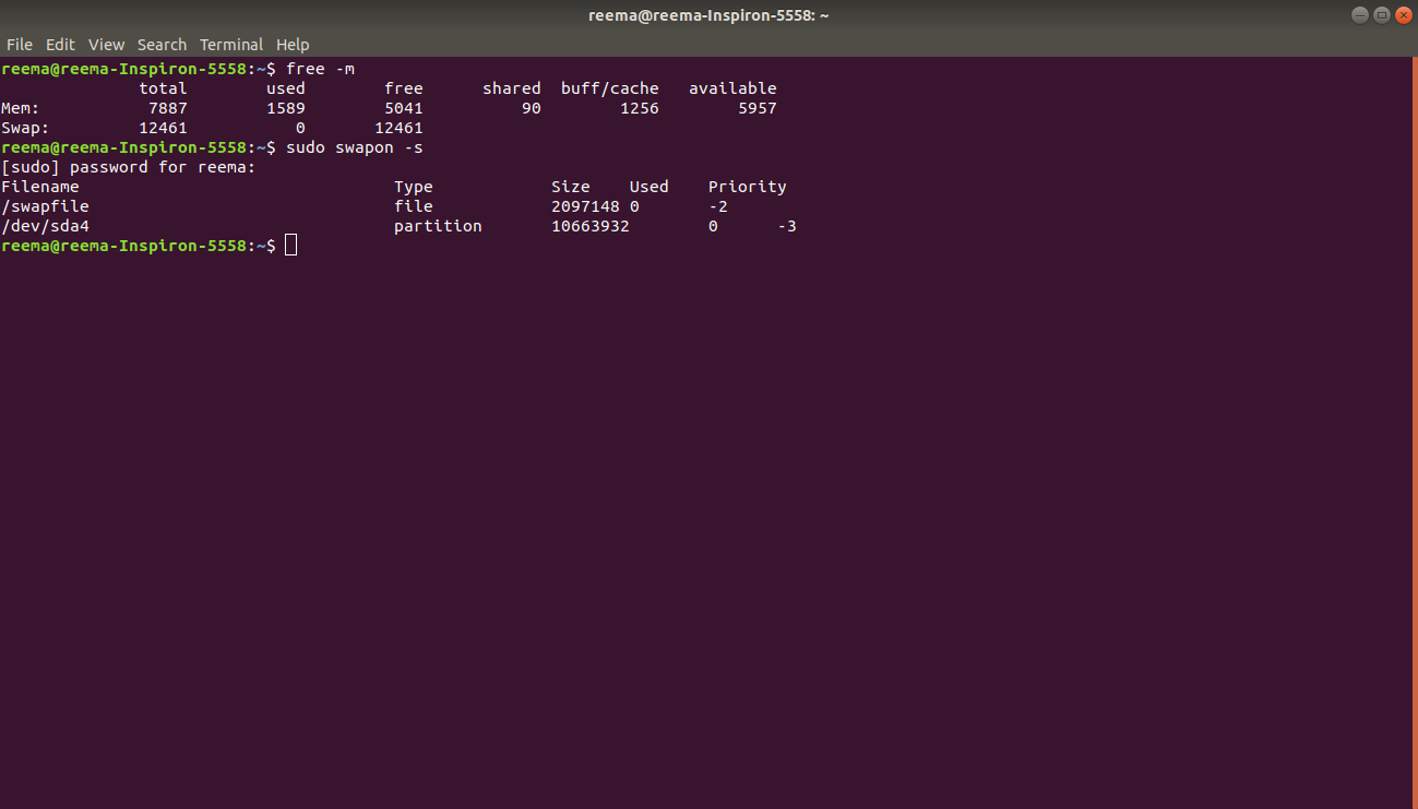 I Then Checked The Size Of Swap In Terminal, Terminal - Sudo Apt ...