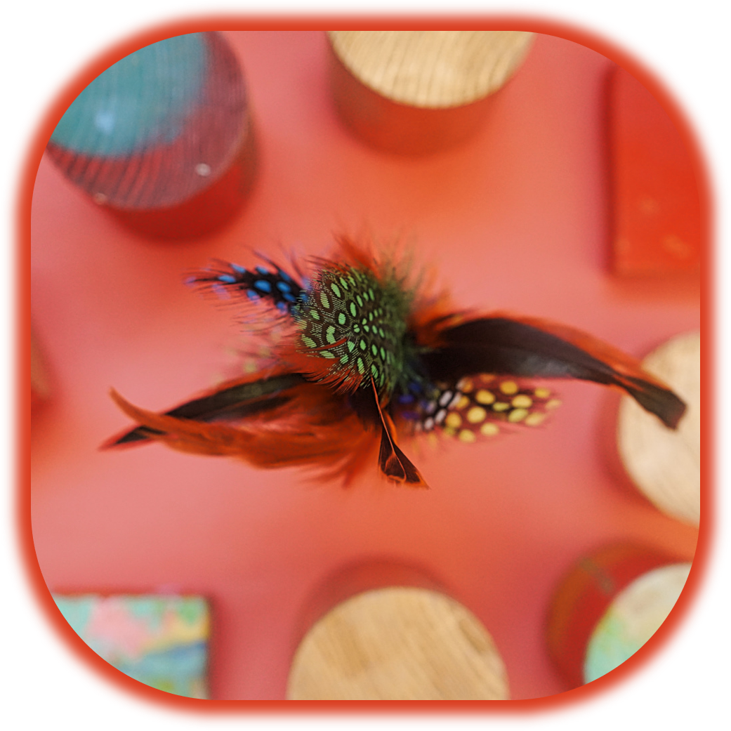 Adult Feather Tickler - Macro Photography Clipart - Large Size Png ...