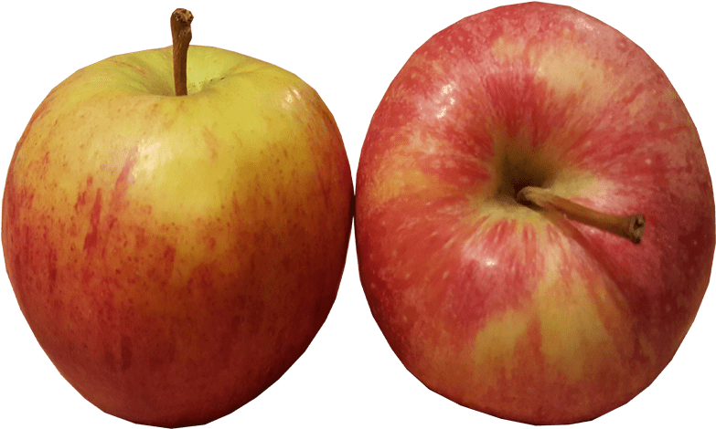 2 Apples Transparent Clipart - Large Size Png Image - PikPng