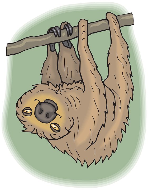 Sloth Clip Art Png Cartoon Transparent Png - Large Size Png Image - PikPng
