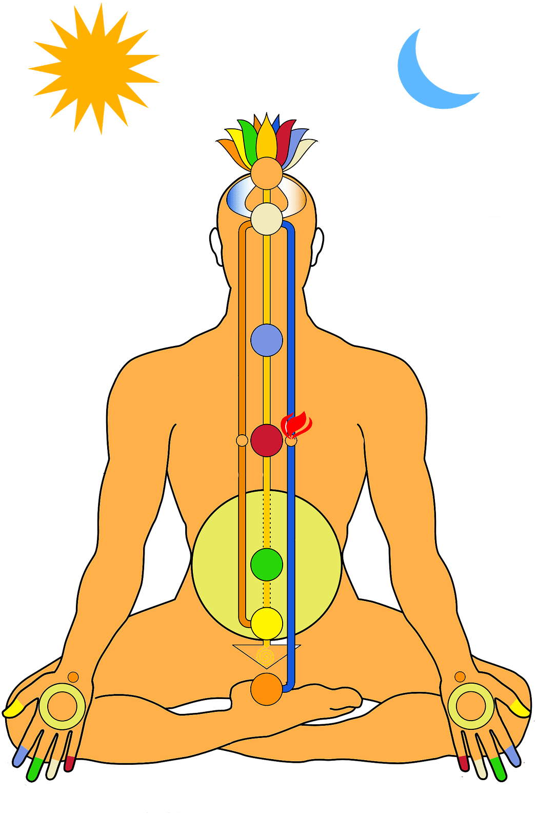 Download Why Are Chakras So Important To Our Well-being - Ida Pingala ...