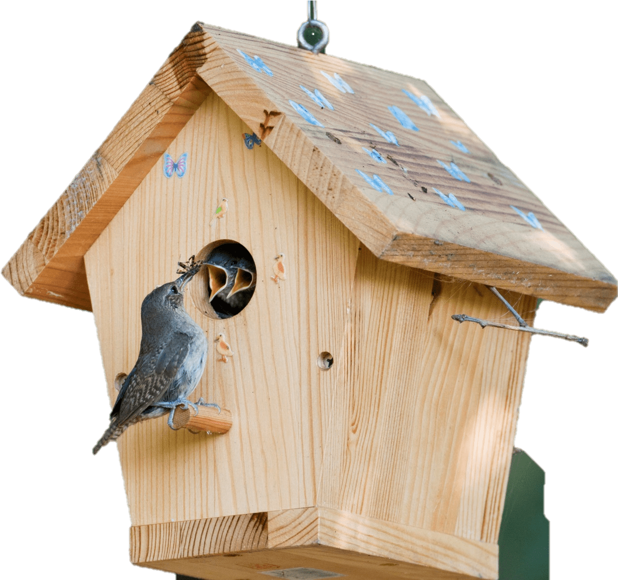 Bird House - Shelter For Birds Clipart - Large Size Png Image - PikPng