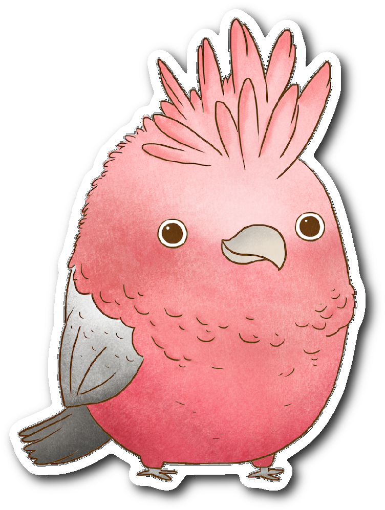 Galah Cockatoo Sticker - Galah Cartoon Clipart - Large Size Png Image ...