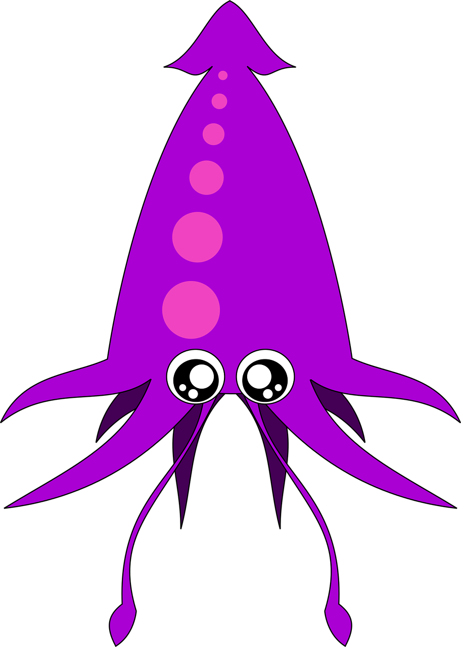 Kawaii Squid Animal - Lula Animal Desenho Clipart - Large Size Png ...