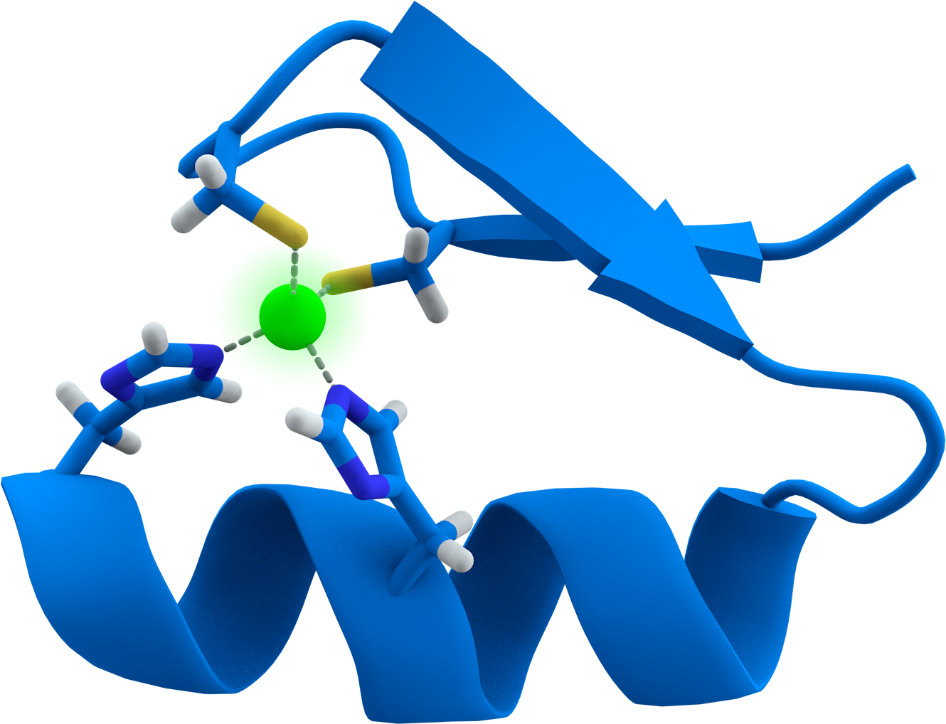 Zinc Finger Rendered - Zinc Finger Protein Clipart - Large Size Png ...