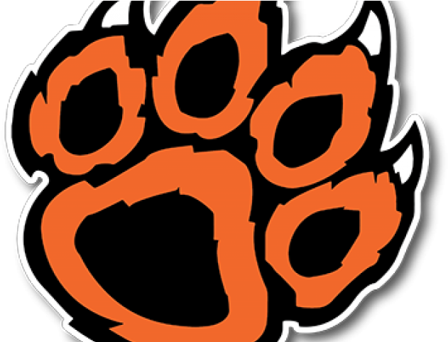 Verona Area Wildcats Logo Clipart - Large Size Png Image - PikPng
