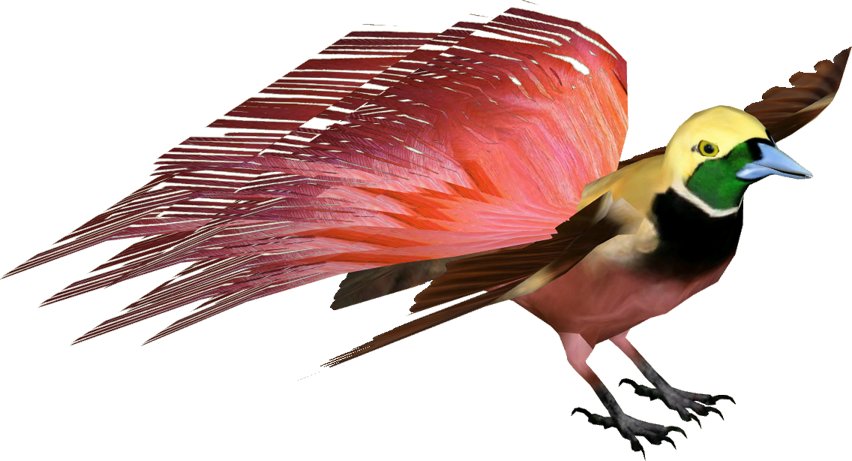 Raggiana Bird Of Paradise - Finch Clipart - Large Size Png Image - PikPng