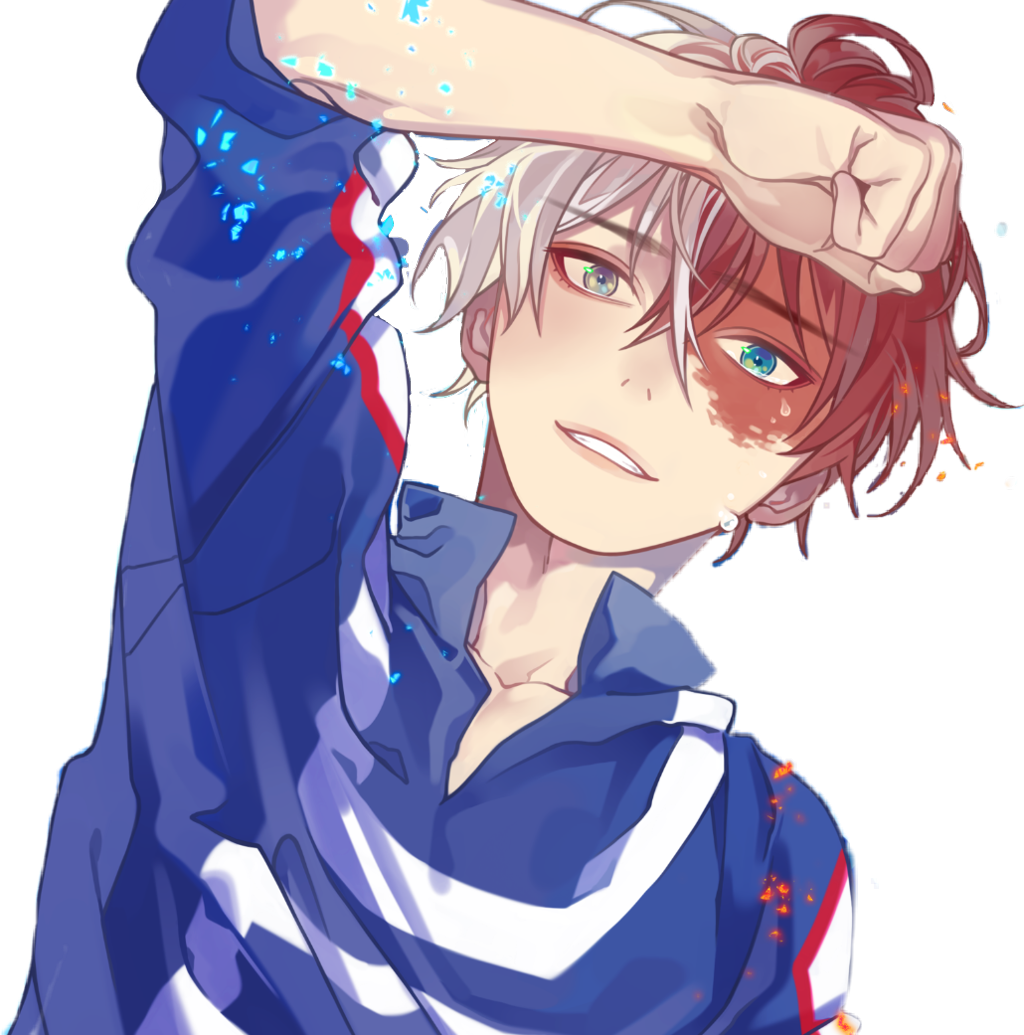 Bnha Boku No Hero Academia Shoto Todoroki Cat Todoroki Cat Png Images And Photos Finder