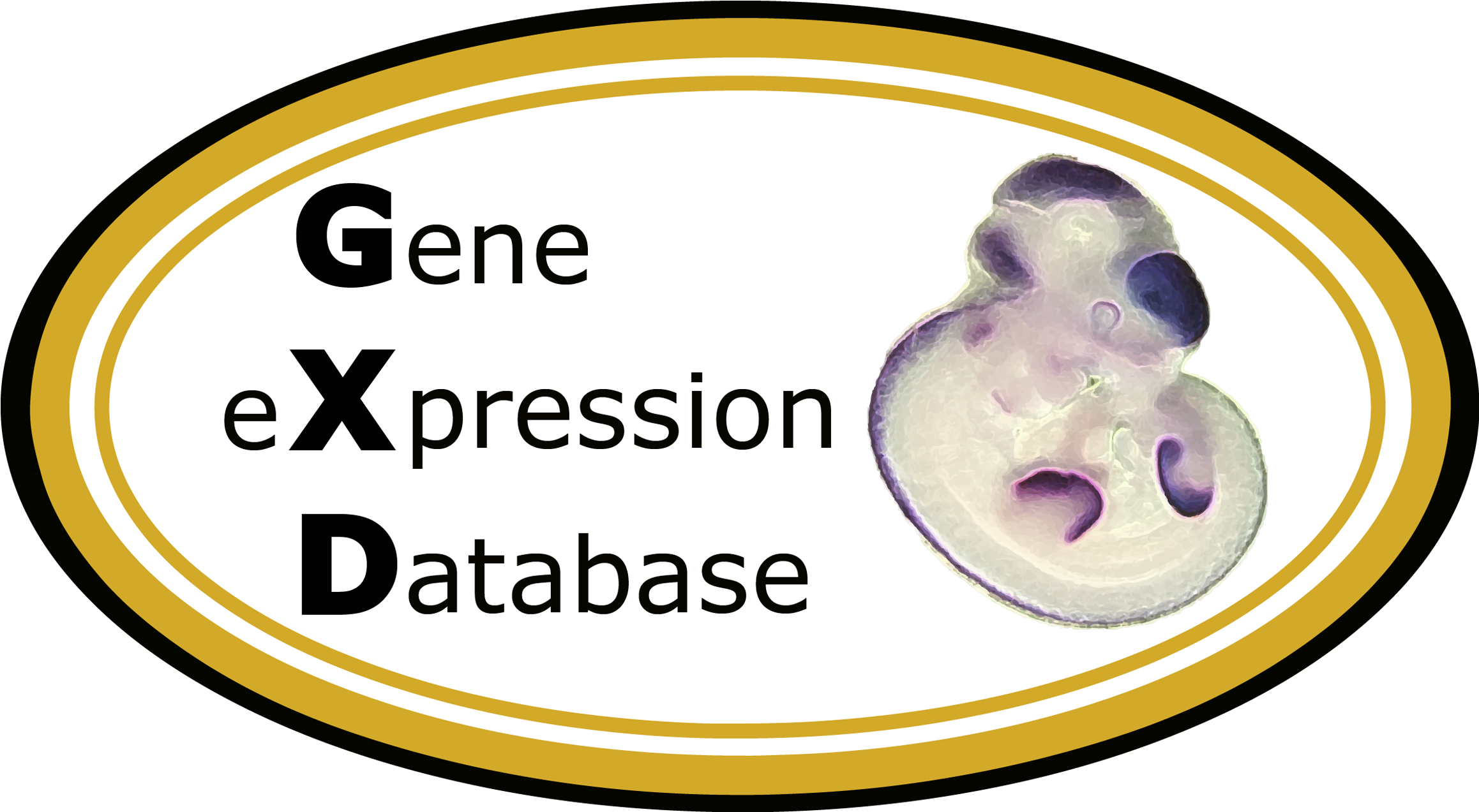 Genes Png , Png Download - Gene Expression Database Clipart - Large ...