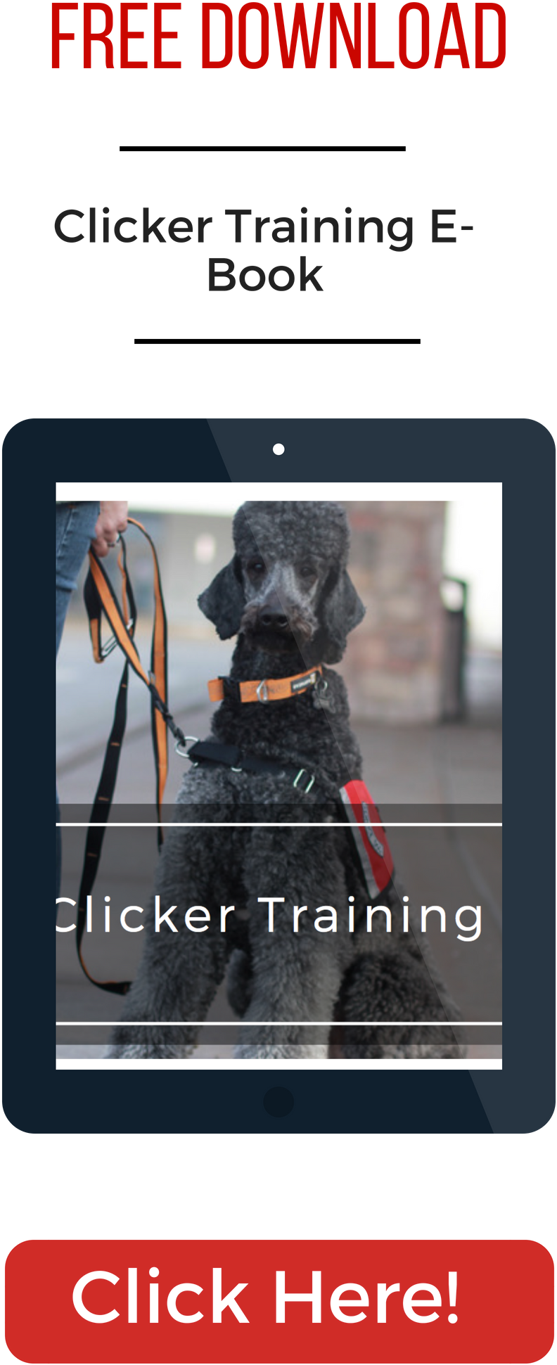 Clicker Training 101 - Dog Catches Something Clipart - Large Size Png ...