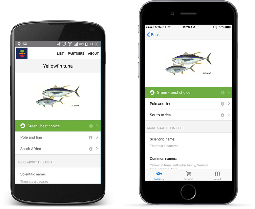 Wwf App Clipart - Large Size Png Image - PikPng