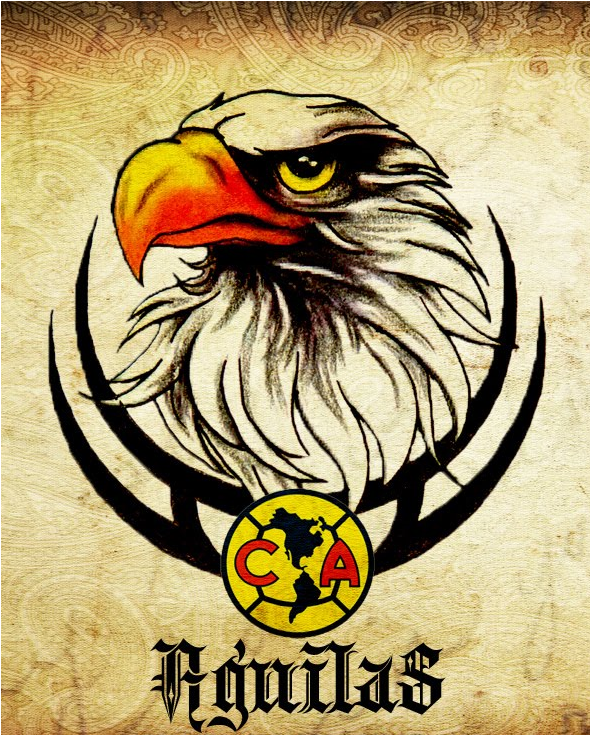 Club America Avatar - Best Eagle Tattoo Drawing Clipart - Large Size ...