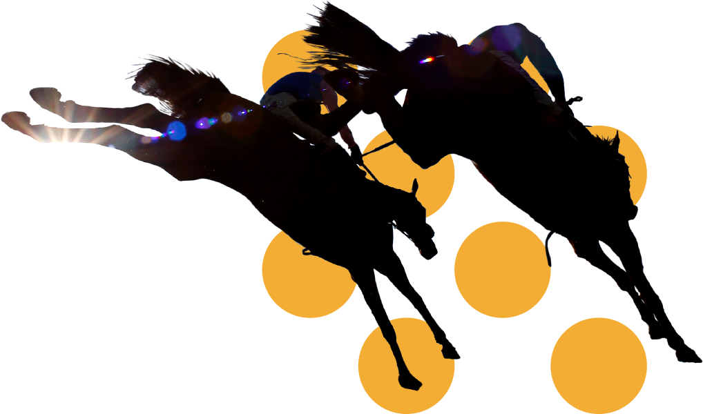 In The Paddock - Illustration Clipart - Large Size Png Image - PikPng