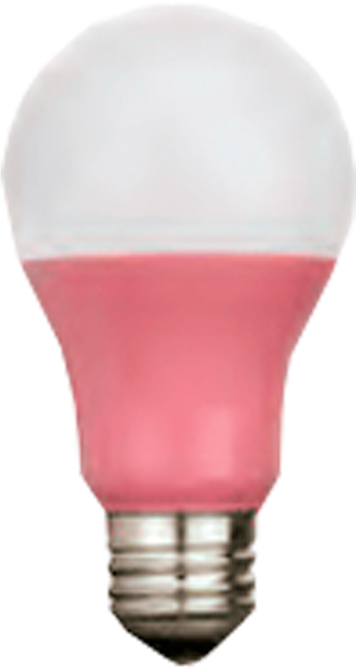 Bombillo Led A60 Color Rosa 3w E27 120-240v 6000k - Light Clipart ...