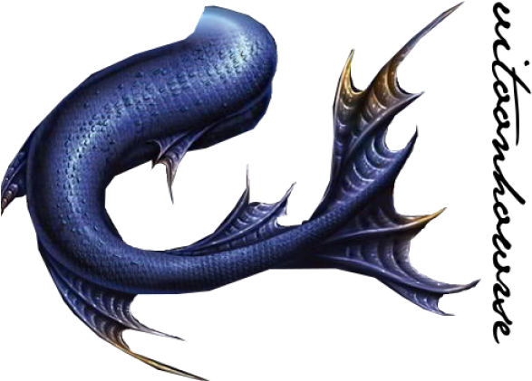 Male Mermaid Tail Png Clipart - Large Size Png Image - PikPng