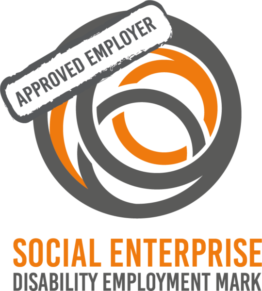 Disability Employment Mark Icon - Product Red Clipart - Large Size Png ...