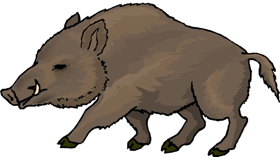 Clip Royalty Free Library Wild Boar Clip Art - Clip Art Boar - Png ...