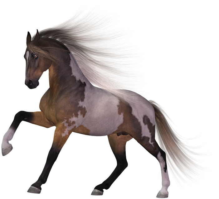 Download Horse Png Transparent Images Transparent Backgrounds ...