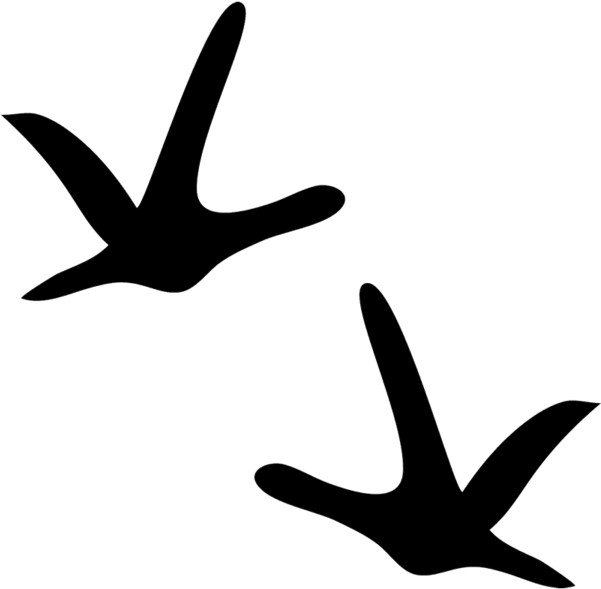 Turkey Tracks Clipart - Turkey Tracks Png Transparent Png - Large Size ...