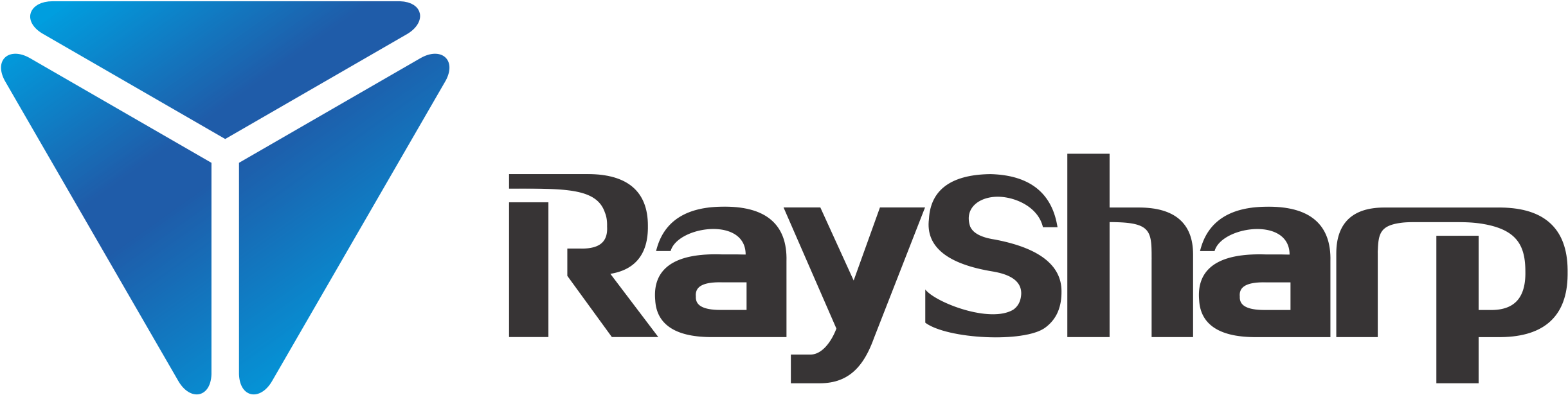 Download Raysharp - Raysharp Logo Png Clipart Png Download - PikPng