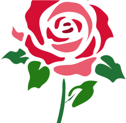 Transparent Background Flowers Icon Clipart - Large Size Png Image - PikPng