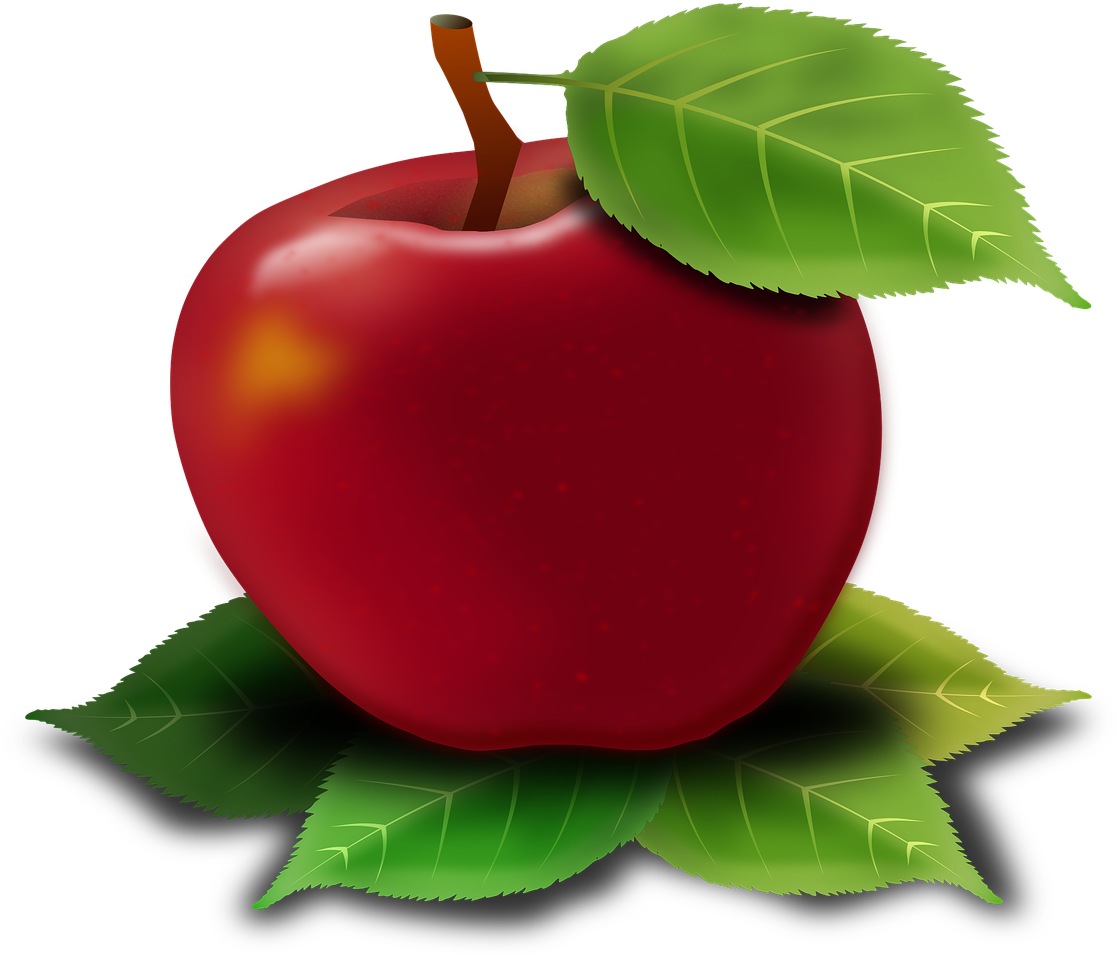 Gambar Ilustrasi Buah Buahan Clipart - Large Size Png Image - PikPng