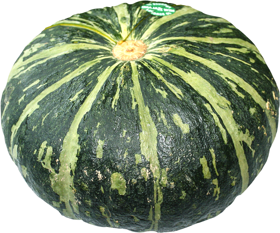 Squash Png Clipart - Large Size Png Image - PikPng