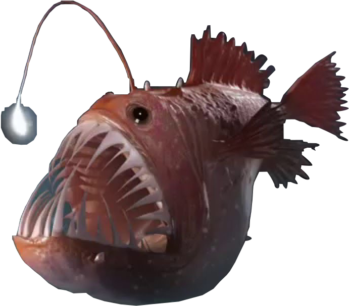 Angler Fish Clipart Image