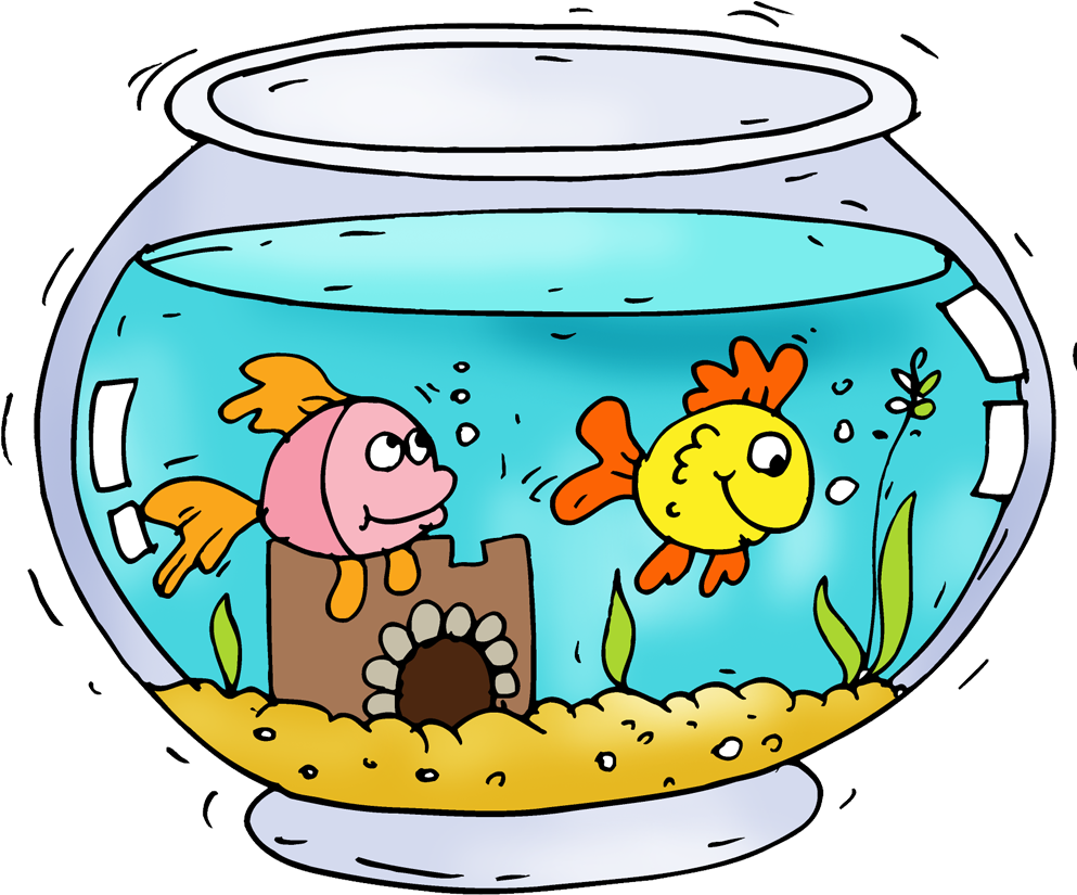Aquarium - Cartoon Aquarium Png Clipart - Large Size Png Image - PikPng