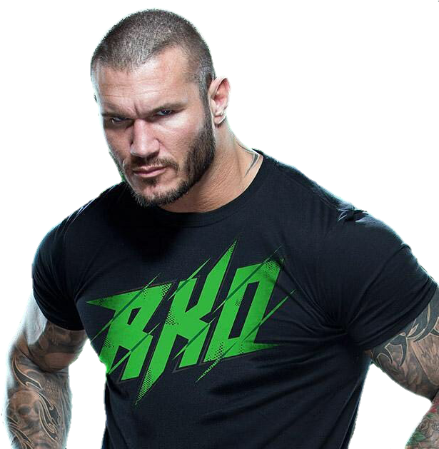 Randy Orton Rko Png Clipart - Large Size Png Image - PikPng
